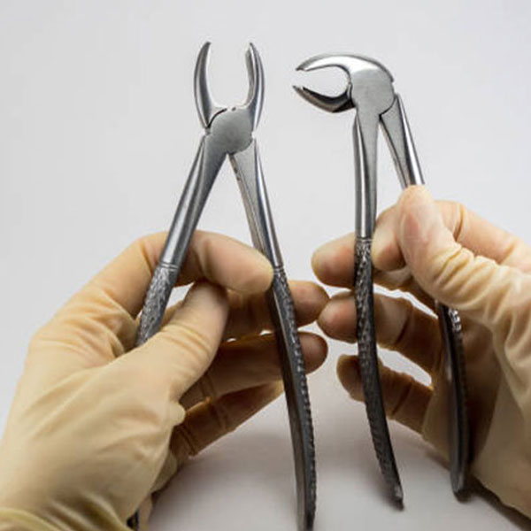 All Products – Hi Dent Traders Exporters LLC